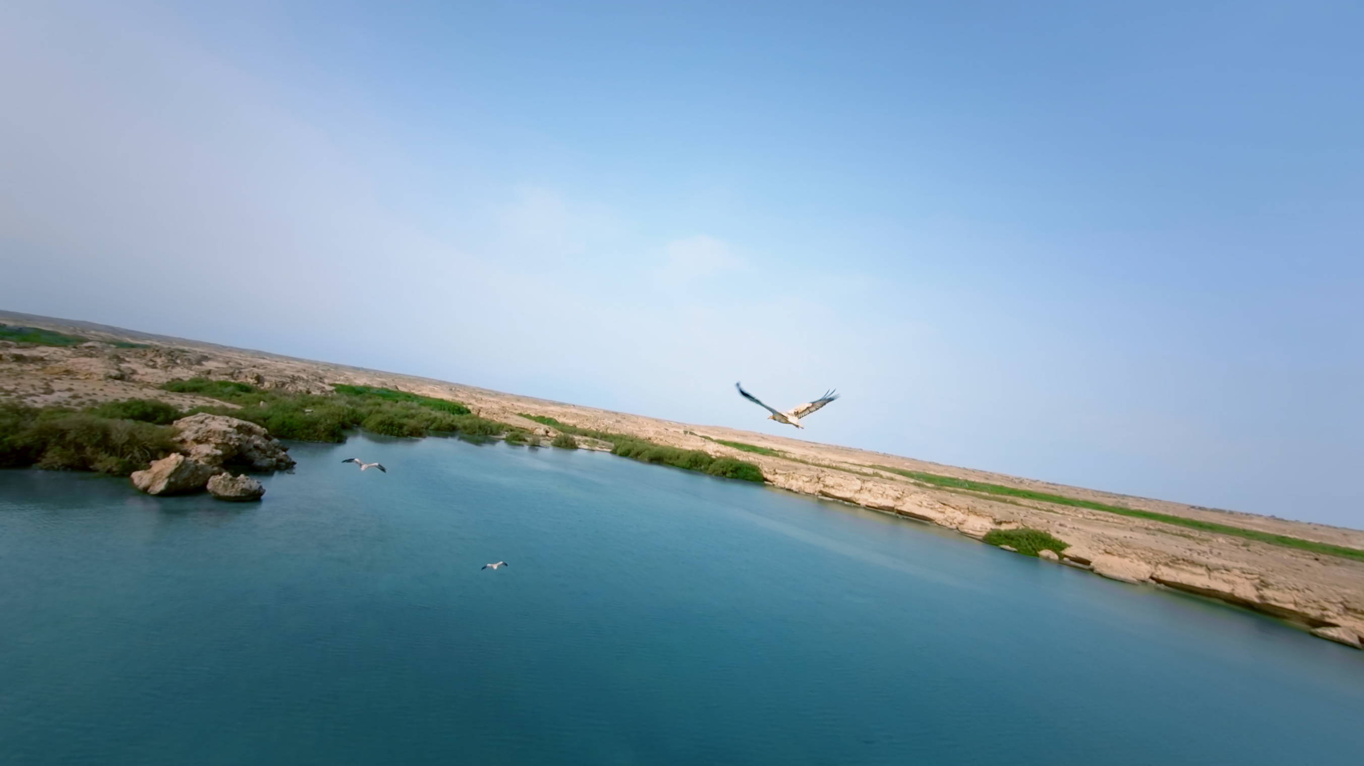 13 Best Places to Visit in Saudi Arabia 2026